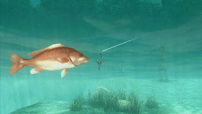 About Fishing proměňuje klidné lovění v tichý horor